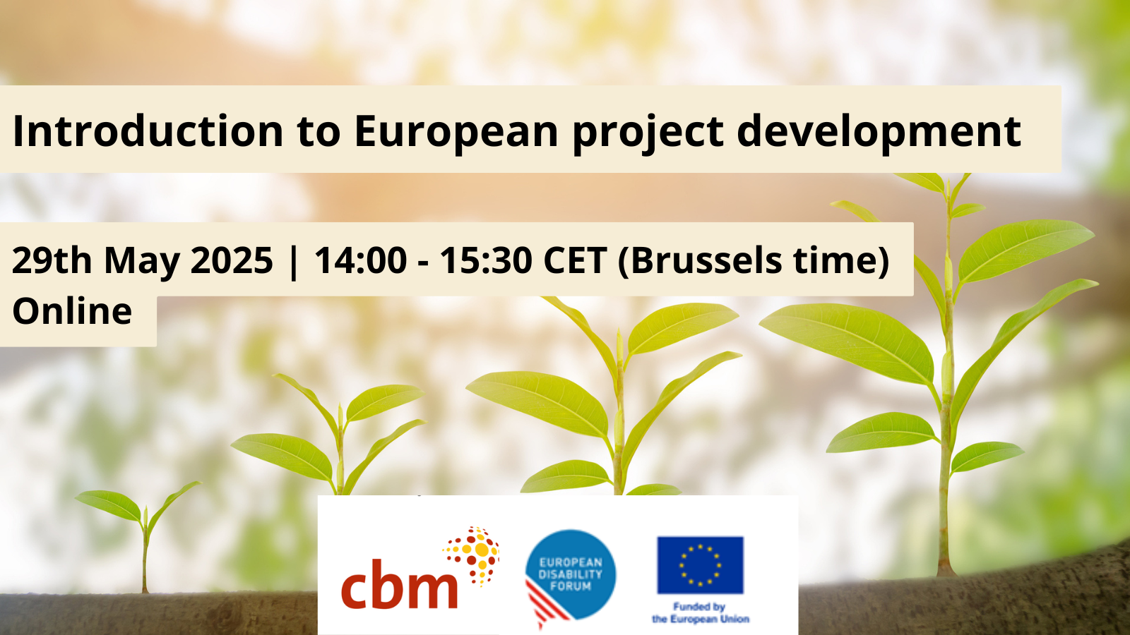 Introduction to European projects development. 29th May 2025 - European ...